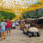 From Puerto Vallarta: San Pancho and Sayulita Cultural Tour - Why This Tour Offers Great Value