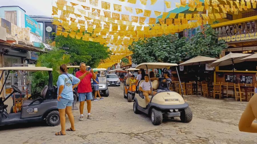 From Puerto Vallarta: San Pancho and Sayulita Cultural Tour - Why This Tour Offers Great Value