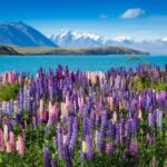 From Queenstown: Half-Day Guided Tour to Mount Cook - Detailed Review