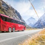 From Queenstown: Milford Sound Day Trip on Premium Coach - A Deep Dive into the Milford Sound Experience