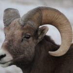 From Rapid City: Epic Badlands Tour and Legendary Wall Drug - Summing Up the Experience