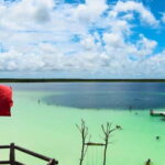 From Riviera : Kaan Luum with Cenotes & Lunch ECO - Kaan Luum Lagoon: Nature’s Hidden Gem