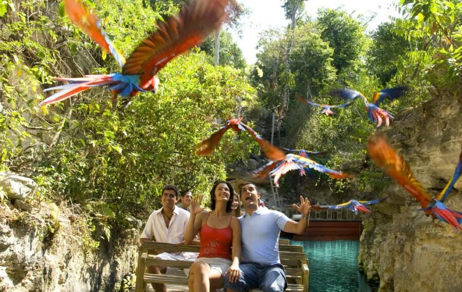 From Riviera Maya: Complete Combo to Xcaret Park! - Detailed Breakdown of the Itinerary