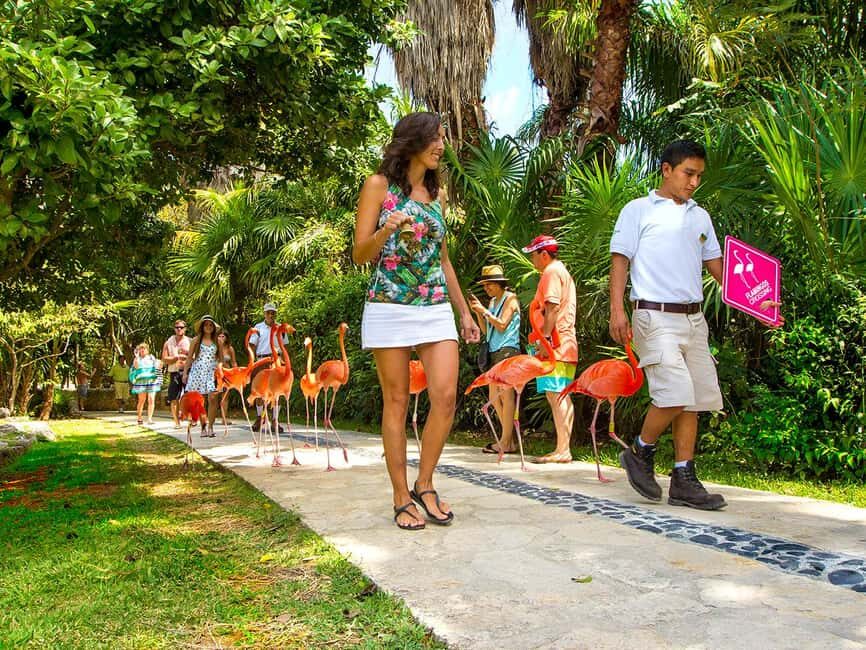 From Riviera Maya: Xcaret Park All-Inclusive - Included Amenities: More Than Just Attractions
