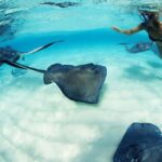 From Riviera Maya: Xcaret Park Plus, the complete experience - What to Expect and Practical Tips