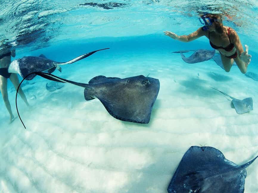 From Riviera Maya: Xcaret Park Plus, the complete experience - What to Expect and Practical Tips