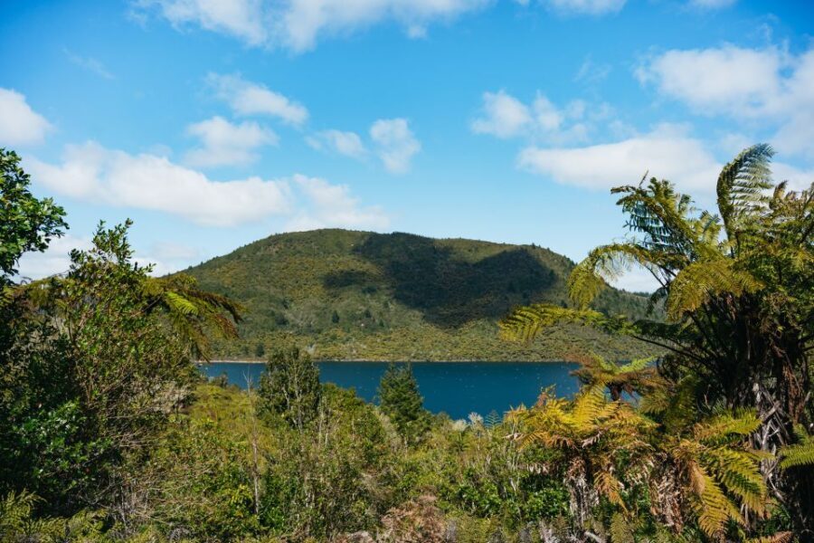 From Rotorua - WAI-O-TAPU - WAIKITE Pool & HUKA FALLS Cruise - Relaxation at Waikite Valley’s Hot Springs