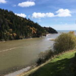 From Saint John: Bay of Fundy Bus Trip for Cruise Passengers - What You Can Expect: A Breakdown of the Day