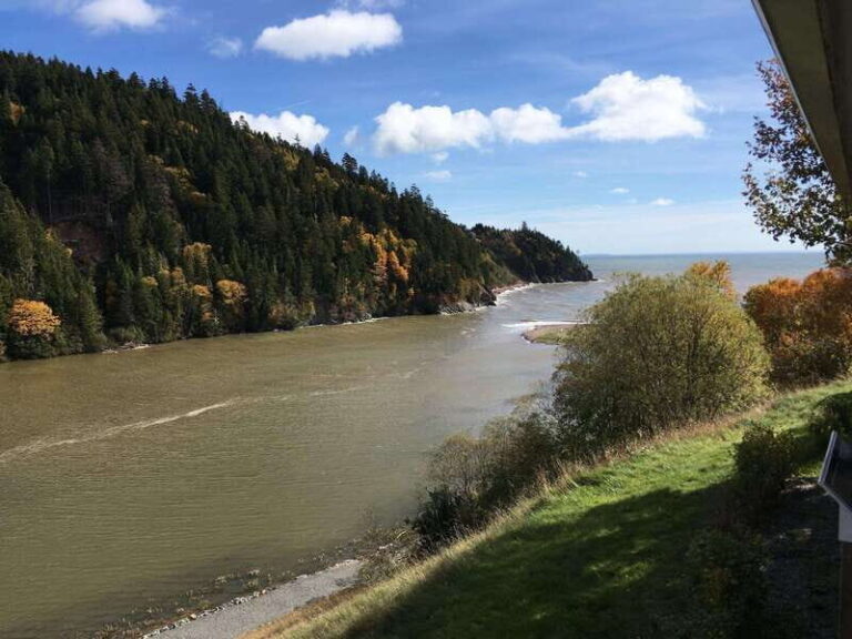 From Saint John: Bay of Fundy Bus Trip for Cruise Passengers - What You Can Expect: A Breakdown of the Day