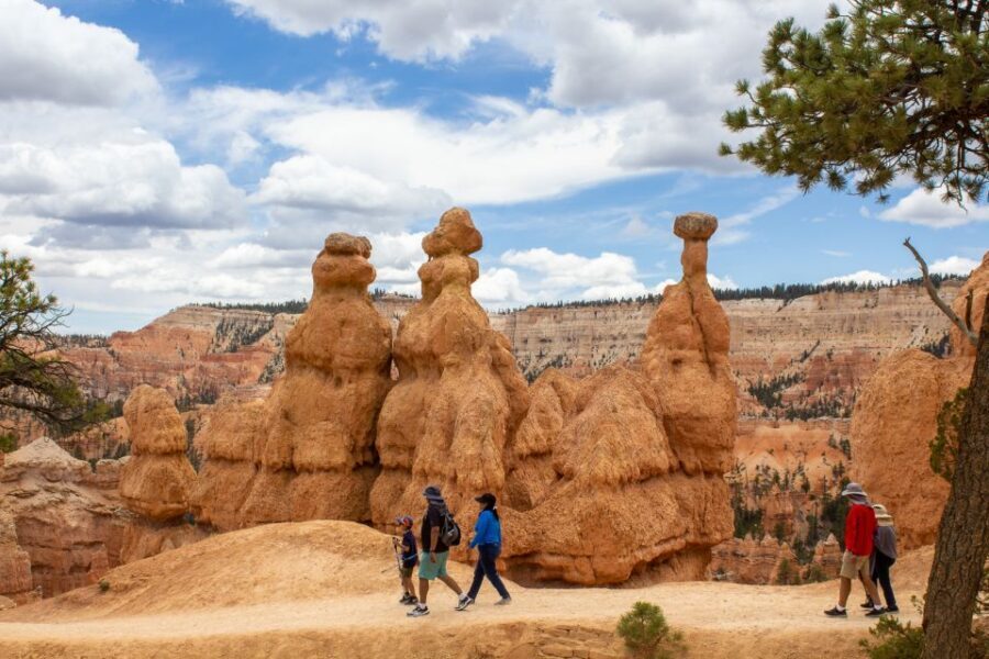From Salt Lake City: Private Bryce Canyon National Park Tour - Who Is This Tour Perfect For?