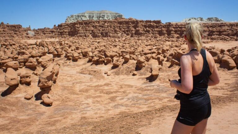 From Salt Lake City: Private Goblin Valley State Park Tour - Exploring Goblin Valley: What Makes It Special?