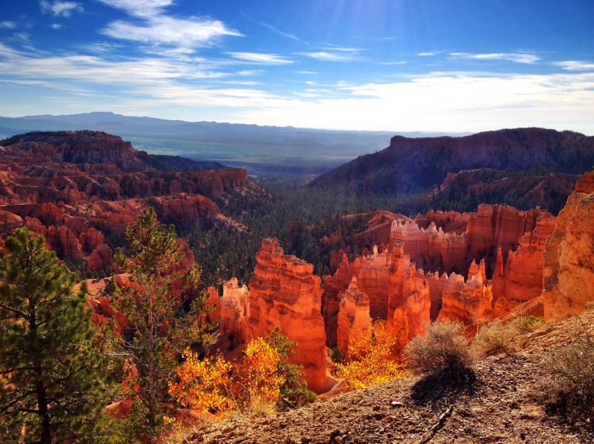 From Salt Lake City: Yellowstone and Tetons Parks in 4 Days - Who Would Love This Tour?