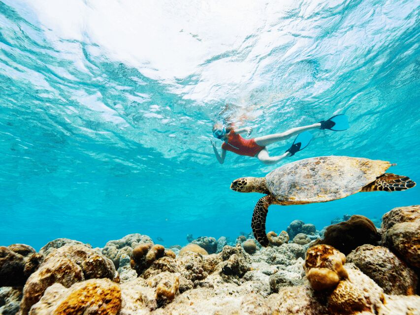 From Samui: Koh Tao and Nangyuan Snorkeling Tour Day Trip - Who Should Book This Tour?