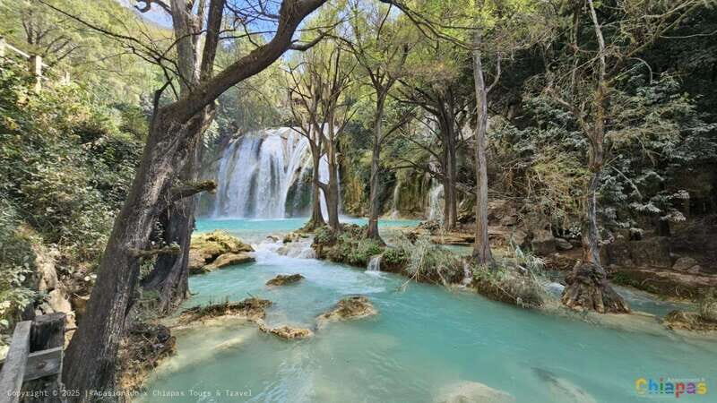 From San Cristobal: Chiflon and Lakes of Montebello Tour - An In-Depth Look at the Tour