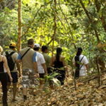 From San Cristóbal: Lacandona Jungle 3 Days Tour - What’s Included and What’s Not