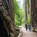 From San Francisco: Muir Woods, Sausalito and Alcatraz Tour - What This Tour Means for You