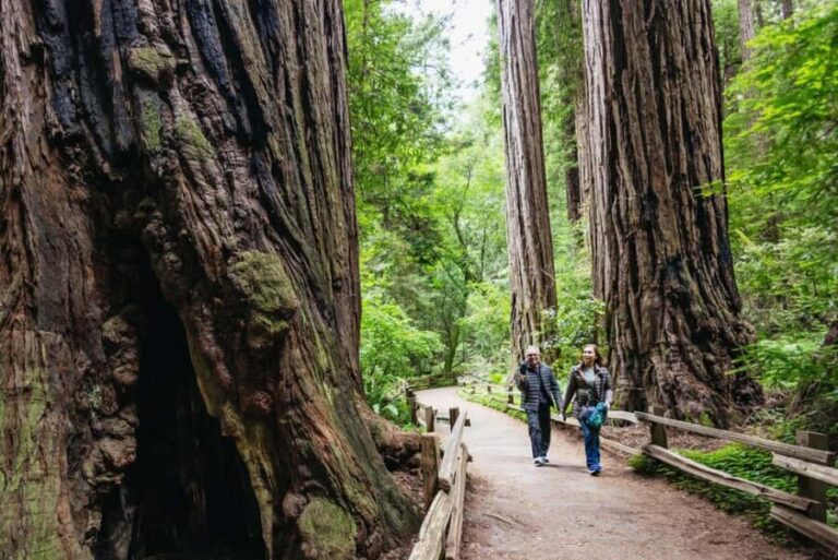 From San Francisco: Muir Woods, Sausalito and Alcatraz Tour - What This Tour Means for You