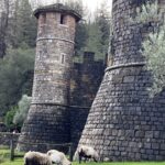 From San Francisco: Napa Valley Private Tour - The Itinerary: What to Expect