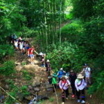 From Sapa: 2 Days Trekking Tour With Local Guide - A Cozy Homestay in Ta Van Village