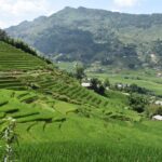 From Sapa: 2D1N Sapa Trekking Tour with Local Expert - Transportation, Guides, and Cost: Why They Matter