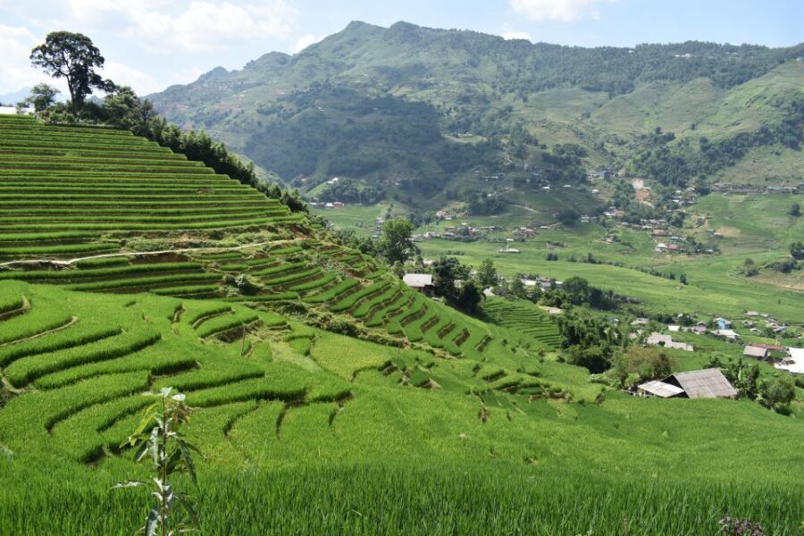 From Sapa: 2D1N Sapa Trekking Tour with Local Expert - Transportation, Guides, and Cost: Why They Matter