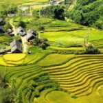 From Sapa: Terrace Fields and Local Villages Trek with Lunch - Practical Aspects and Value