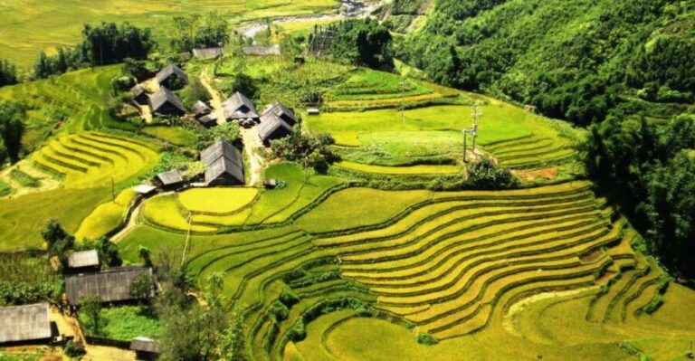 From Sapa: Terrace Fields and Local Villages Trek with Lunch - Practical Aspects and Value