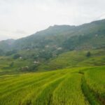 From Sapa to Y Linh Ho/Lao Chai/Ta Van/Ban Ho by Motorbike - The Experience Through Travelers’ Eyes
