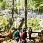 From Seattle: Customized Mount Rainier Tour - Who Should Consider This Tour?