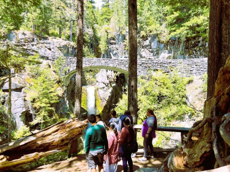 From Seattle: Customized Mount Rainier Tour - Who Should Consider This Tour?