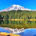 From Seattle: Mount Rainier National Park 1-Day Tour - The Itinerary in Detail
