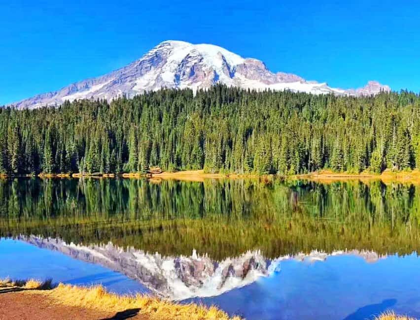 From Seattle: Mount Rainier National Park 1-Day Tour - The Itinerary in Detail