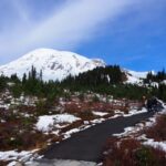 From Seattle: Mount Rainier National Park Guided Tour - The Real Value in This Experience