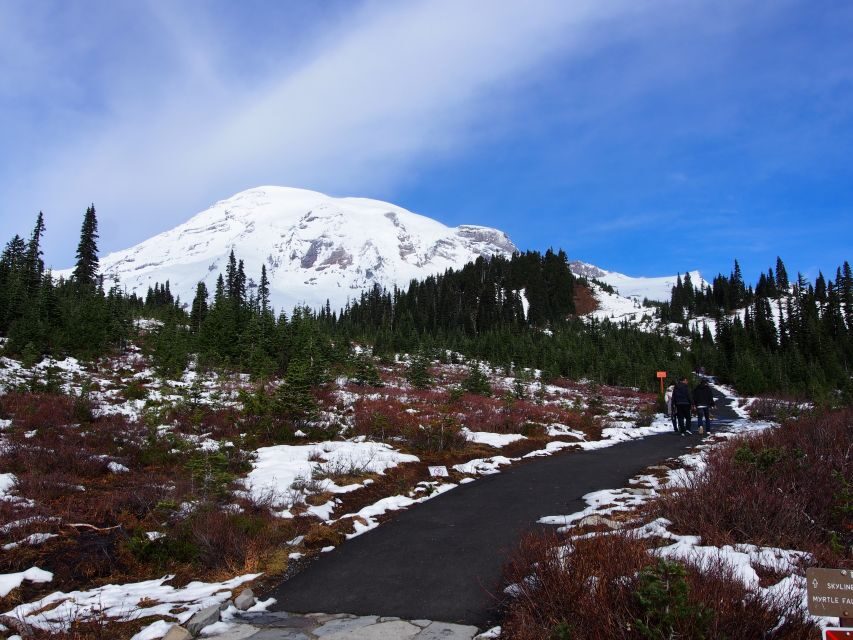 From Seattle: Mount Rainier National Park Guided Tour - The Real Value in This Experience