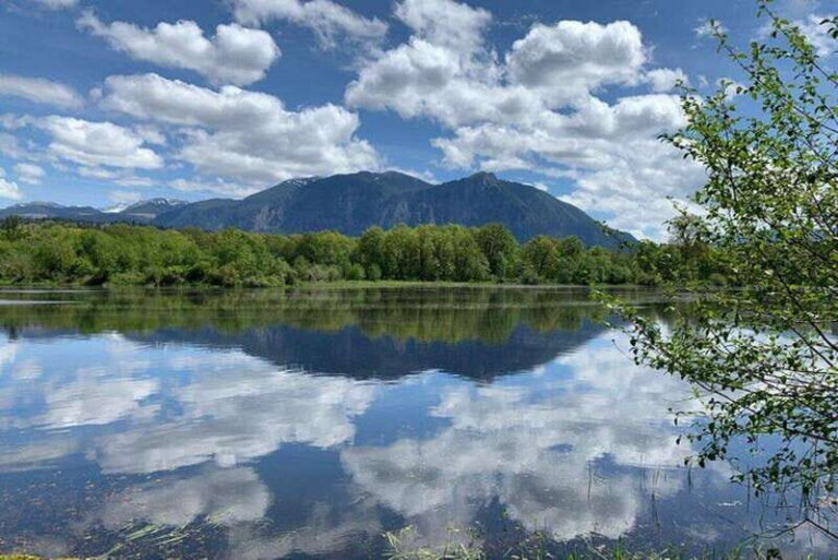 From Seattle: Pacific Northwest Waterfalls & Hiking Tour - Transportation and Timing