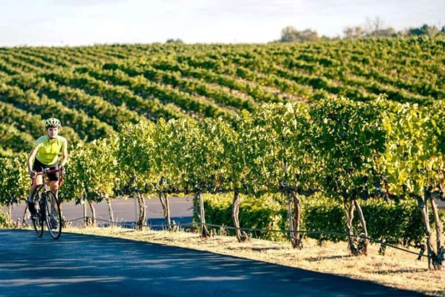 From Seattle - Wine Tasting, Vineyards in Eastern WA - A Detailed Look at the Experience