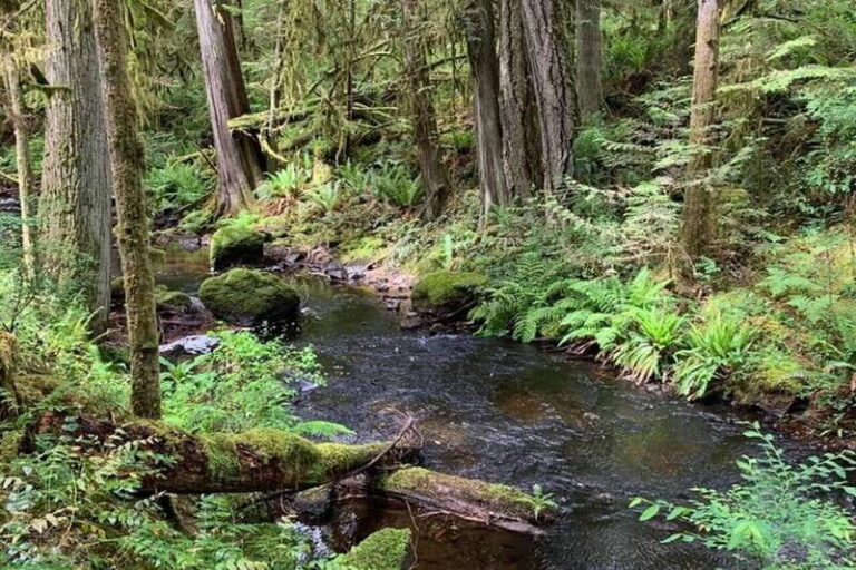 From Sechelt or Langdale: Sunshine Coast Tour and Hike - An In-Depth Look at the Sunshine Coast Tour and Hike