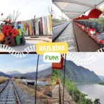 From Seoul: Alpaca Farm with Rail bike/ Luge Racing - Activity Choices: Luge or Rail Bike
