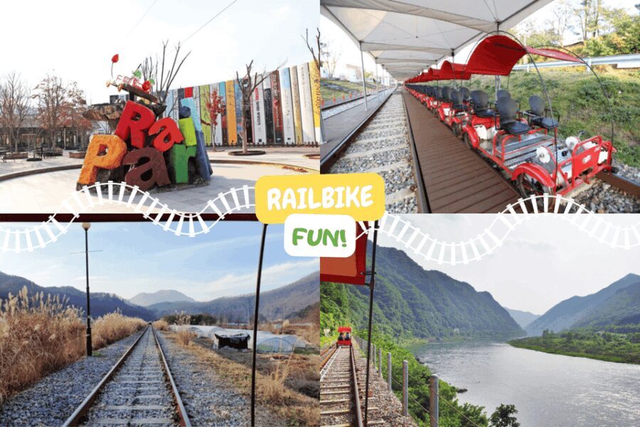 From Seoul: Alpaca Farm with Rail bike/ Luge Racing - Activity Choices: Luge or Rail Bike