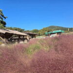 From Seoul: Gongju and Buyeo 2-Day Tour with Accommodation - A Deep Dive into the Experience