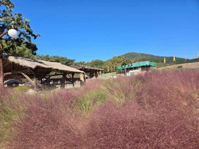 From Seoul: Gongju and Buyeo 2-Day Tour with Accommodation - A Deep Dive into the Experience