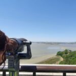 From Seoul: Private DMZ and Odusan Observatory Full-Day Tour - An Honest Breakdown of the Tour