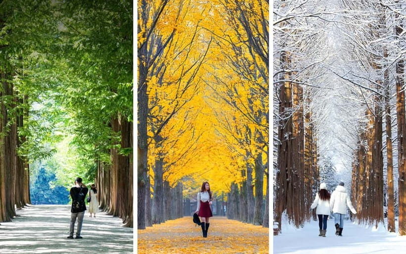 From Seoul: Seoraksan National Park and Nami Island Day Trip - The Mountain Experience at Seoraksan