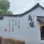 From Shanghai: Private Day Tour to Wuzhen Water Town - Analyzing the Value: Is it Worth It?