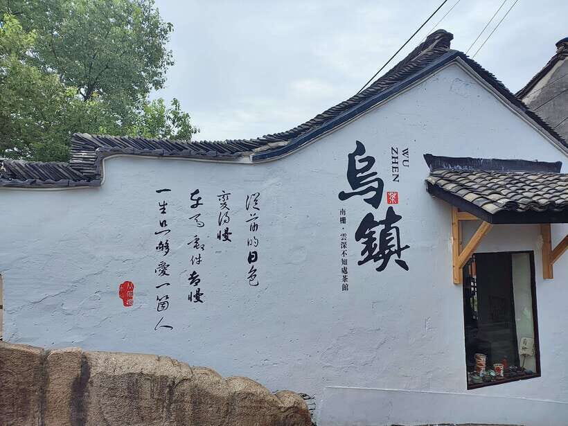 From Shanghai: Private Day Tour to Wuzhen Water Town - Analyzing the Value: Is it Worth It?