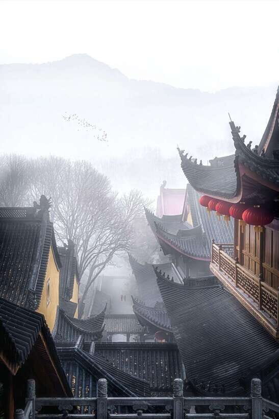 From Shanghai:Hangzhou Temple Zen and Longjing Tea ceremony - The Full Experience: A Detailed Look at the Itinerary and Highlights