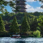 From Shanghai:Hangzhou Temples, Lake Views &Night Market Fun - In-Depth Analysis: What Makes This Tour Stand Out?