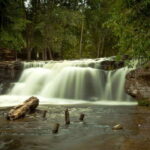 From Siem Reap: Small-Group Phnom Kulen Waterfall Day Tour - Authentic Experiences and Testimonials