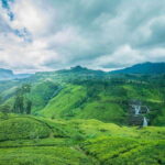 From Sigiriya: 6-Day Sri Lanka Tour with Yala Safari - Practical Details and Value