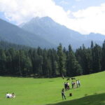 From Srinagar: Sonmarg Day Trip - Key Points